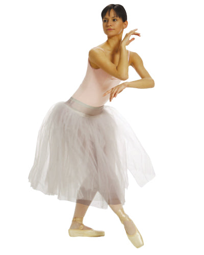 Sansha Degas Romantic Tutu – Dancer's Image